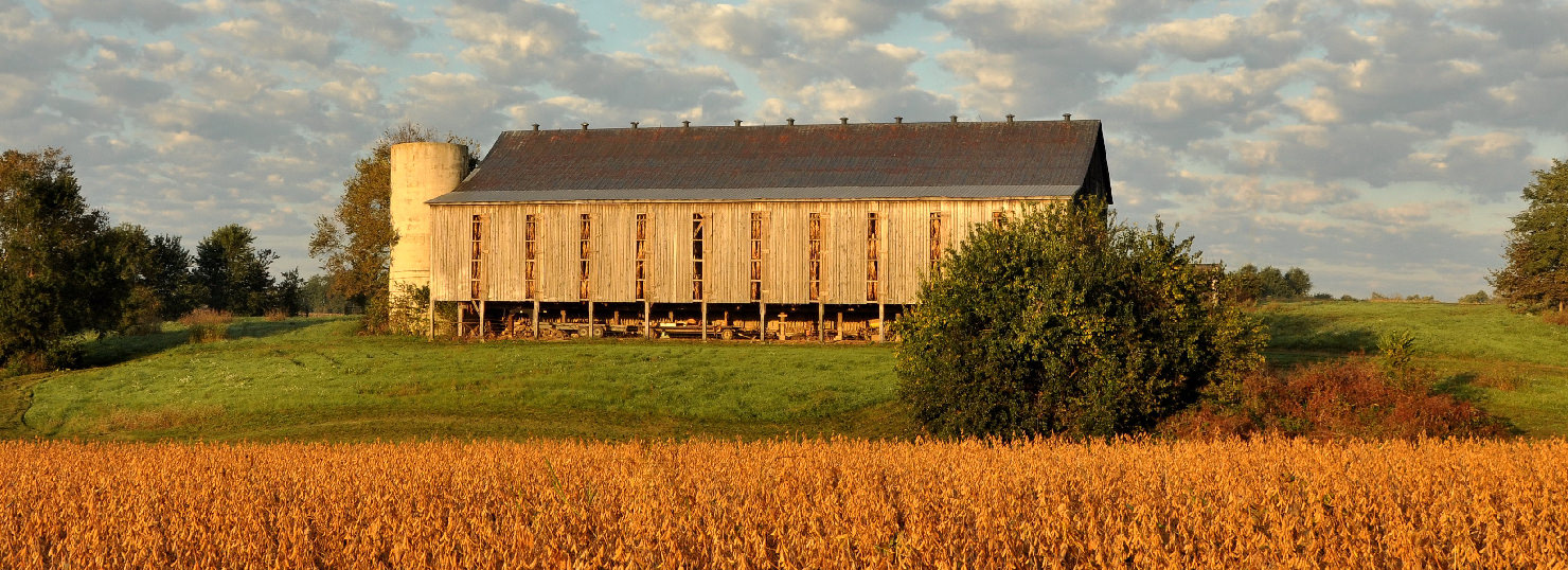 BGIC Featured in The Morning Line - Fayette Alliance : Fayette Alliance